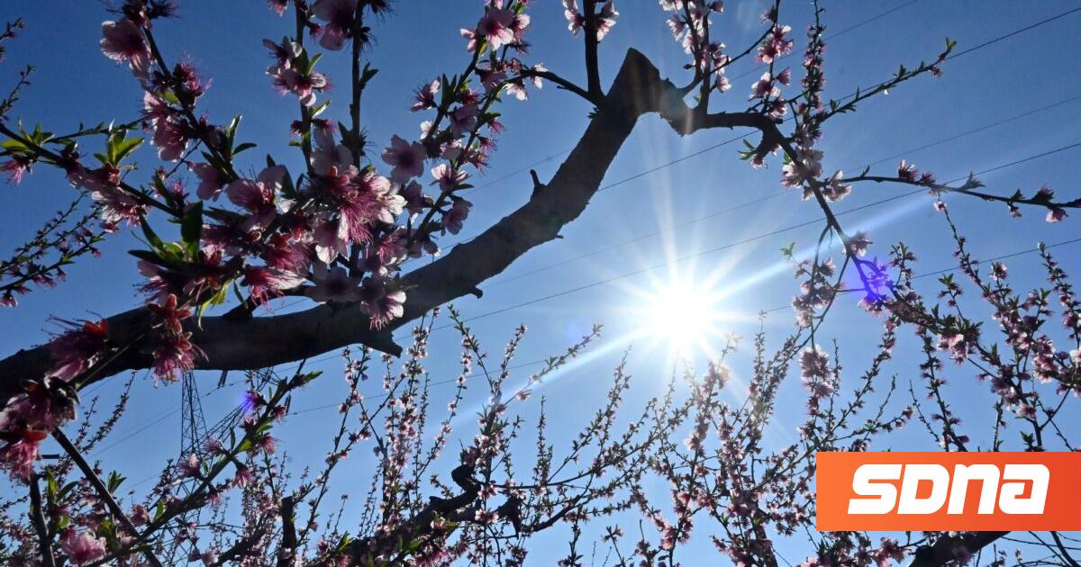 Καιρός σήμερα: Αίθριος με τοπικές νεφώσεις στα ηπειρωτικά, μικρή άνοδος ...